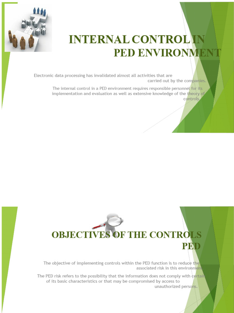 Internal Control in Ped Environment | PDF | Information | Data Processing