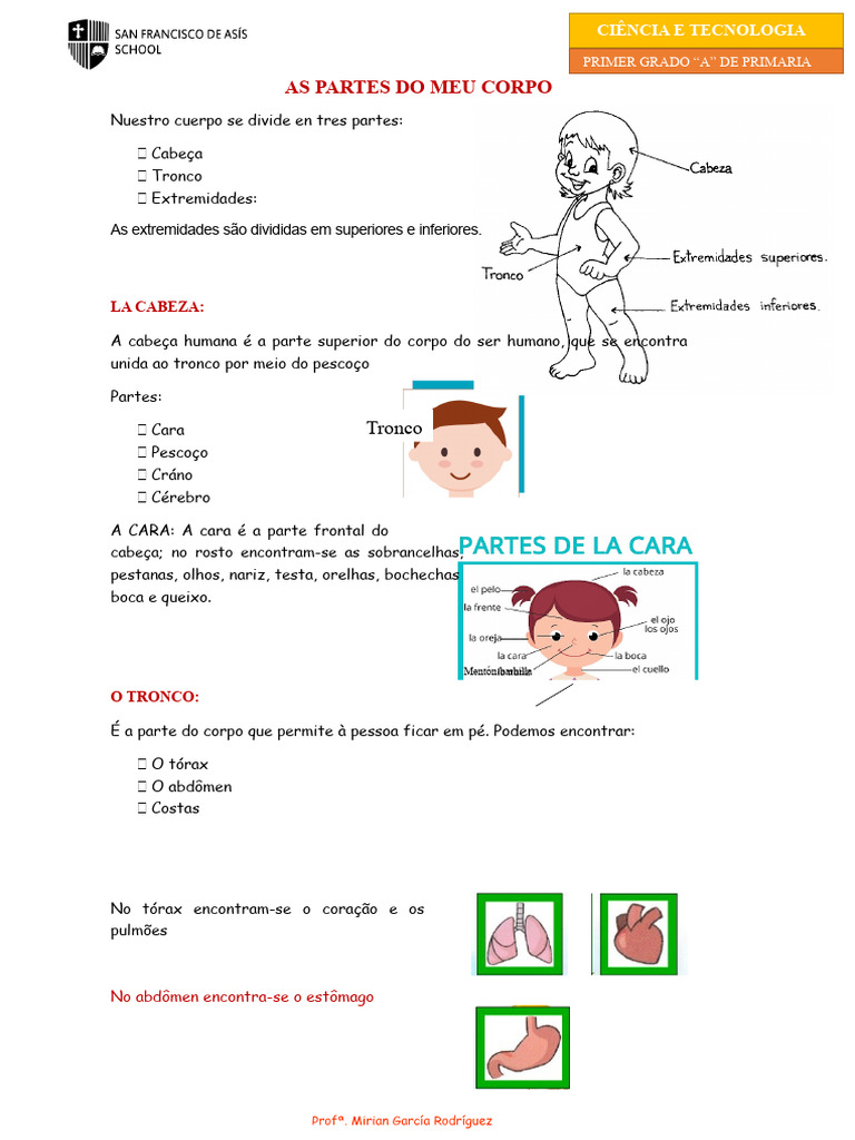 Ciência e Tecnologia 1 - Partes do Corpo Humano | PDF | Morfologia ...