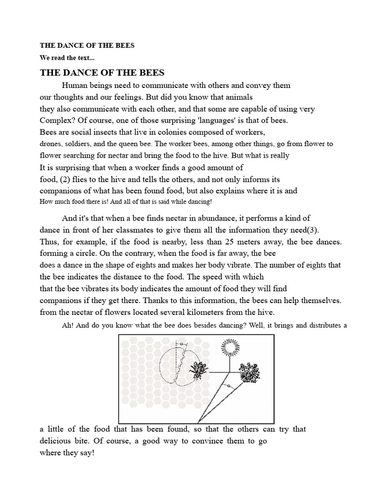 How Bees Communicate Through Dance | PDF | Bees | Beehive