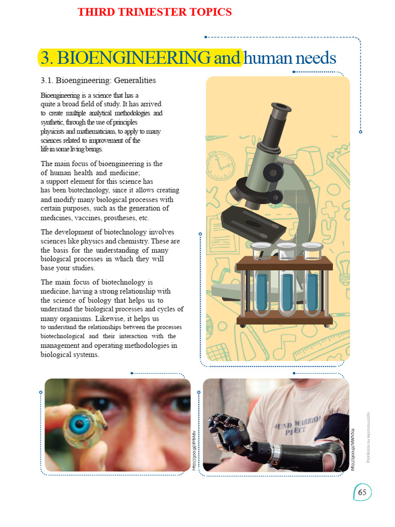 Theme No. 4 Bioengineering and Human Needs | PDF | Biotechnology ...