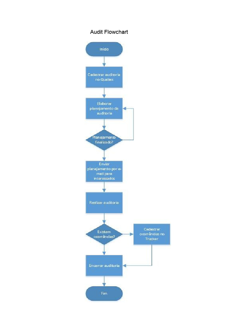 Audit Flowchart | PDF