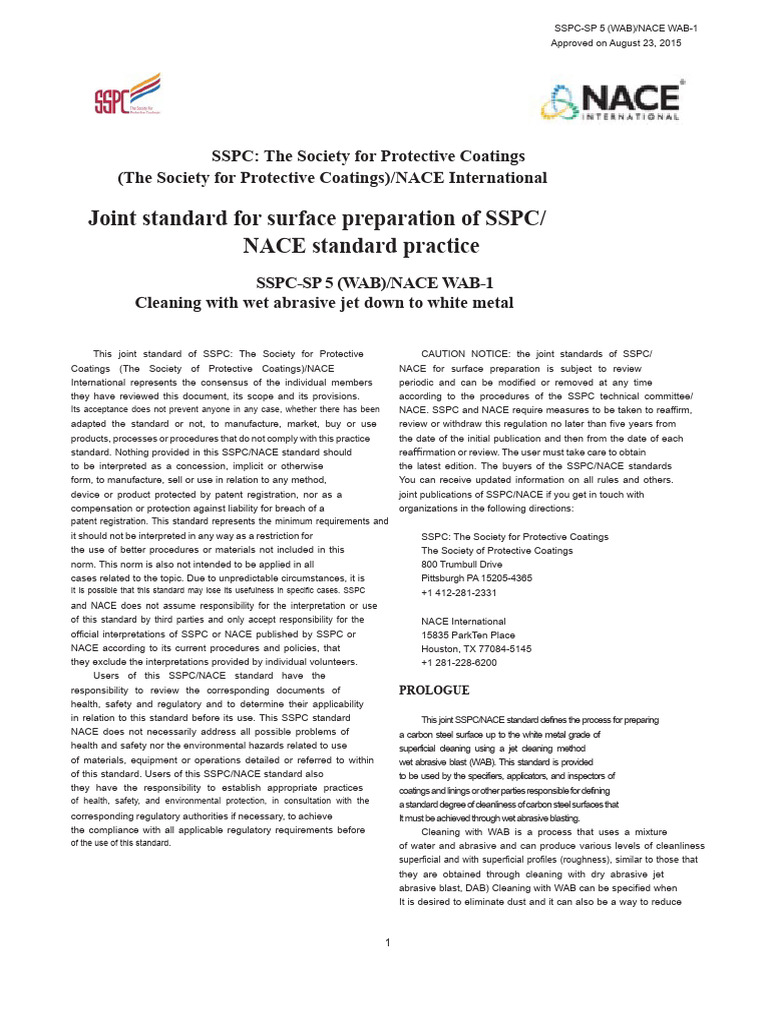 SSPC-SP 5 (WAB): Wet Abrasive Cleaning Standard | PDF | Abrasive | Salt ...