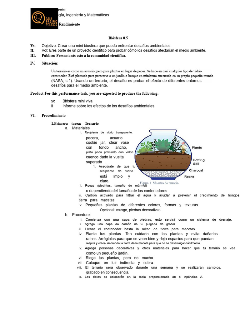 Mini Biosfera: Proyecto de Terrario | PDF | Acuario | Entorno natural