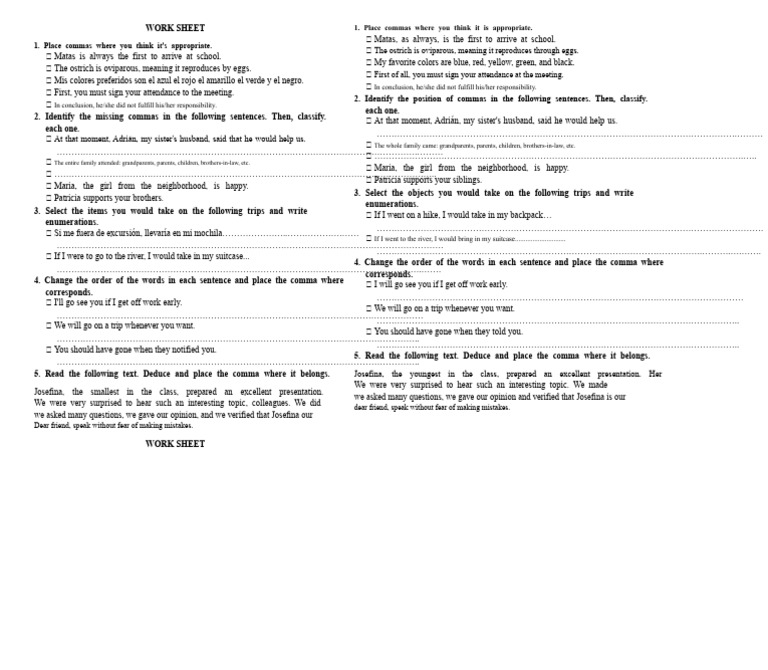 Worksheet On The Comma. | PDF