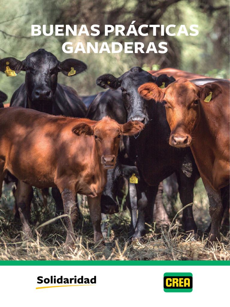 BPG_CREA (2020) | PDF | Pasto | Pasto