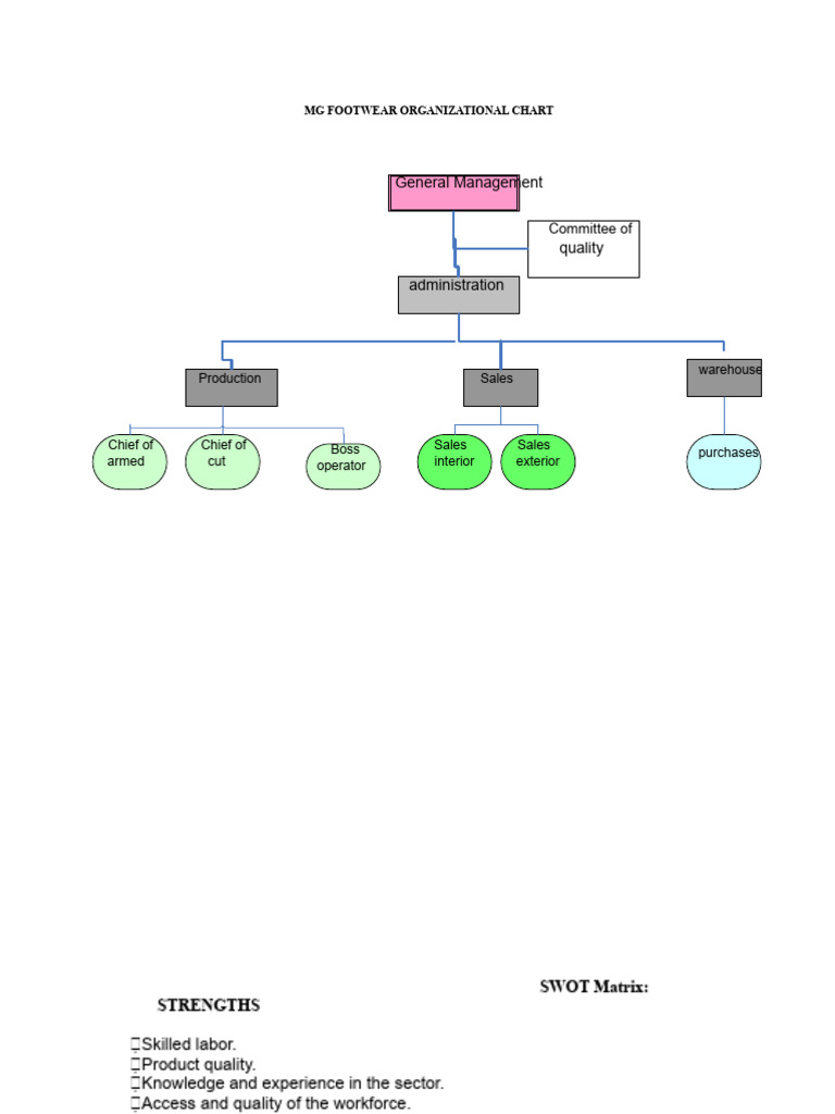 MG Footwear Organizational Chart | PDF | Swot Analysis | Exports