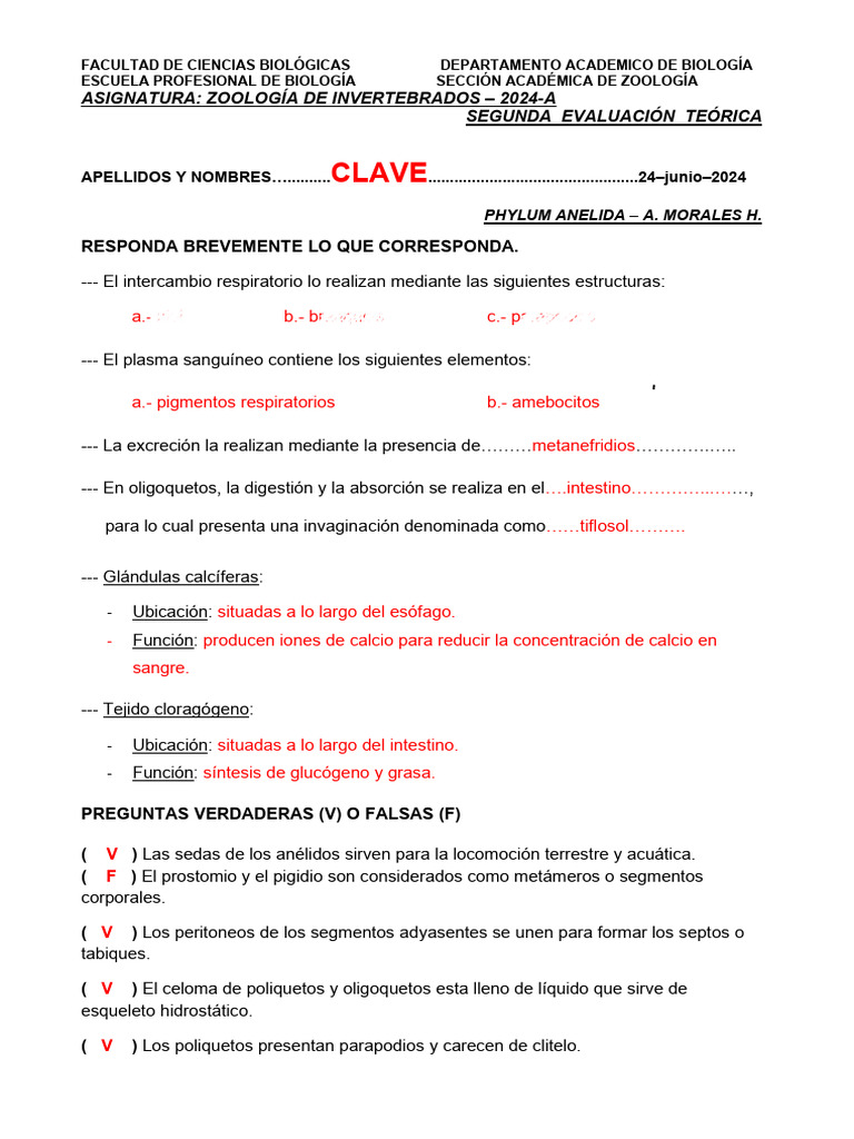 2da. EVAL. TEORICA - CLAVE | PDF | Moluscos | Bivalvia