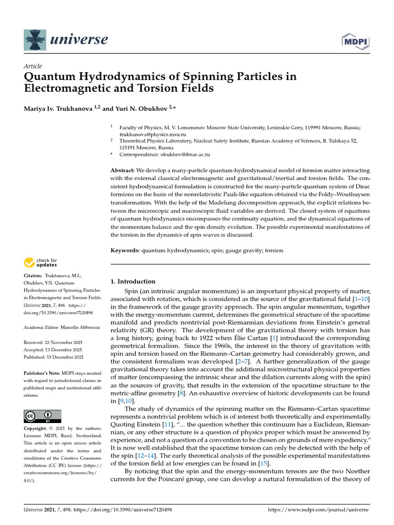 2024 Quantum Hydrodynamics of Spinor | PDF | Field (Physics) | Spin (Physics)