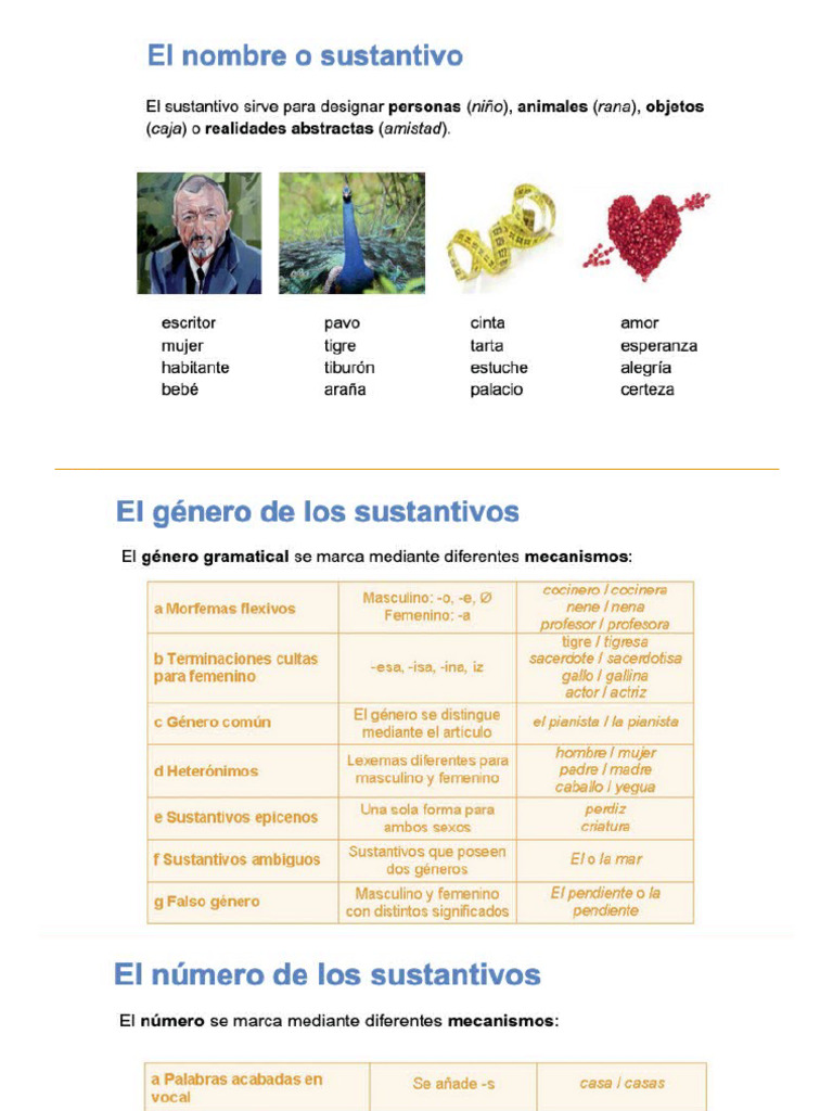 TEMA 3 - 1ºESO - Sustantivo | PDF
