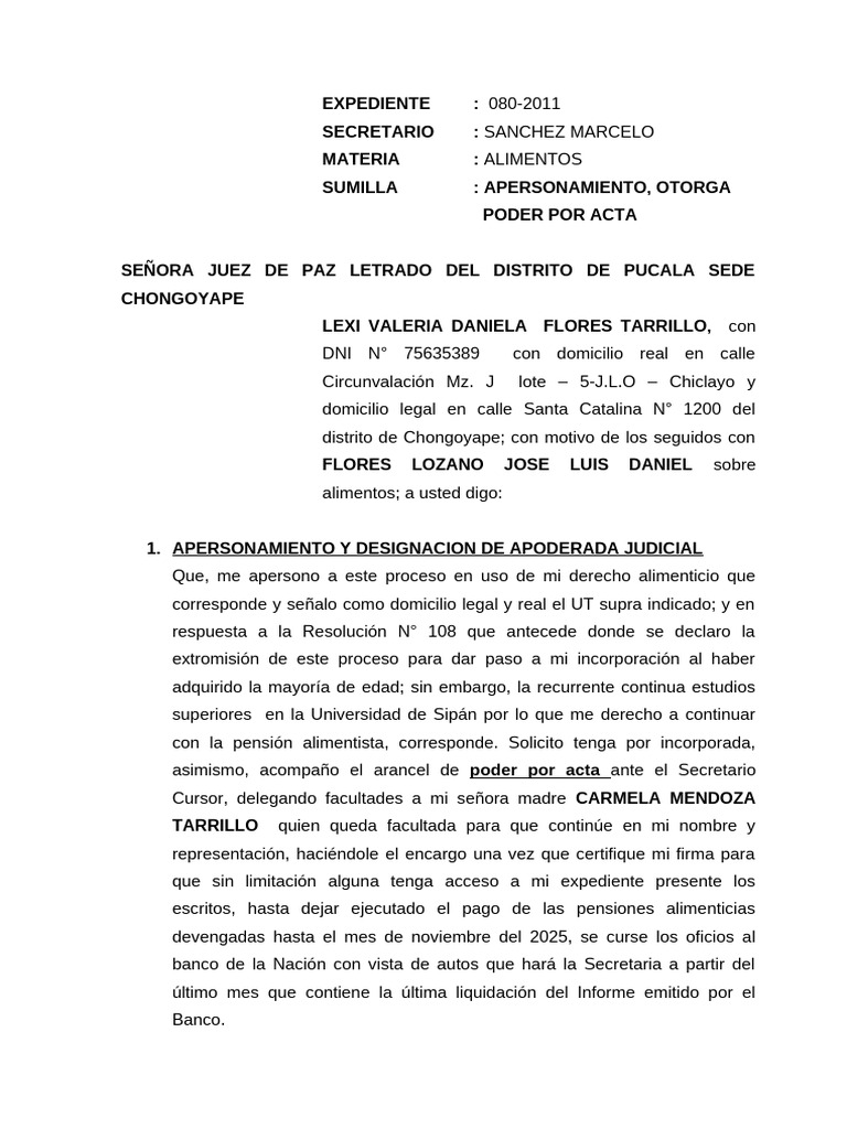 Expe Dien 28 | PDF | Justicia | Crimen y violencia
