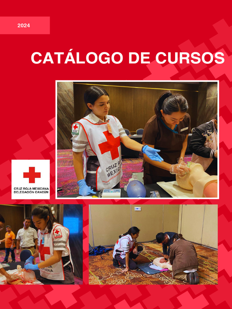 Catalogo de Cursos | PDF | Reanimación cardiopulmonar | Primeros auxilios