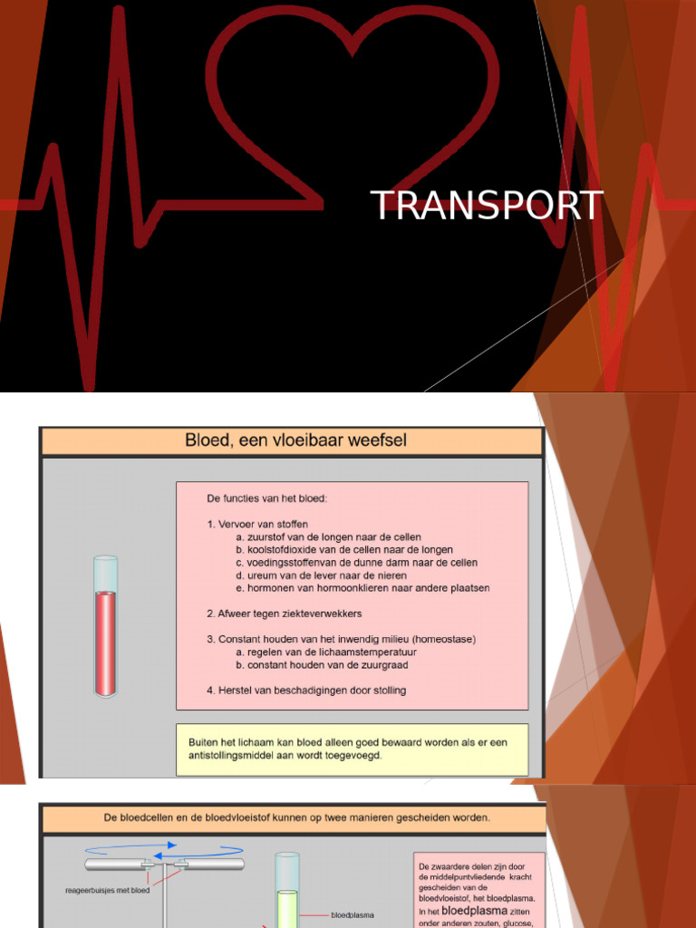 Bloedsomloop 6vwo 2025 | PDF