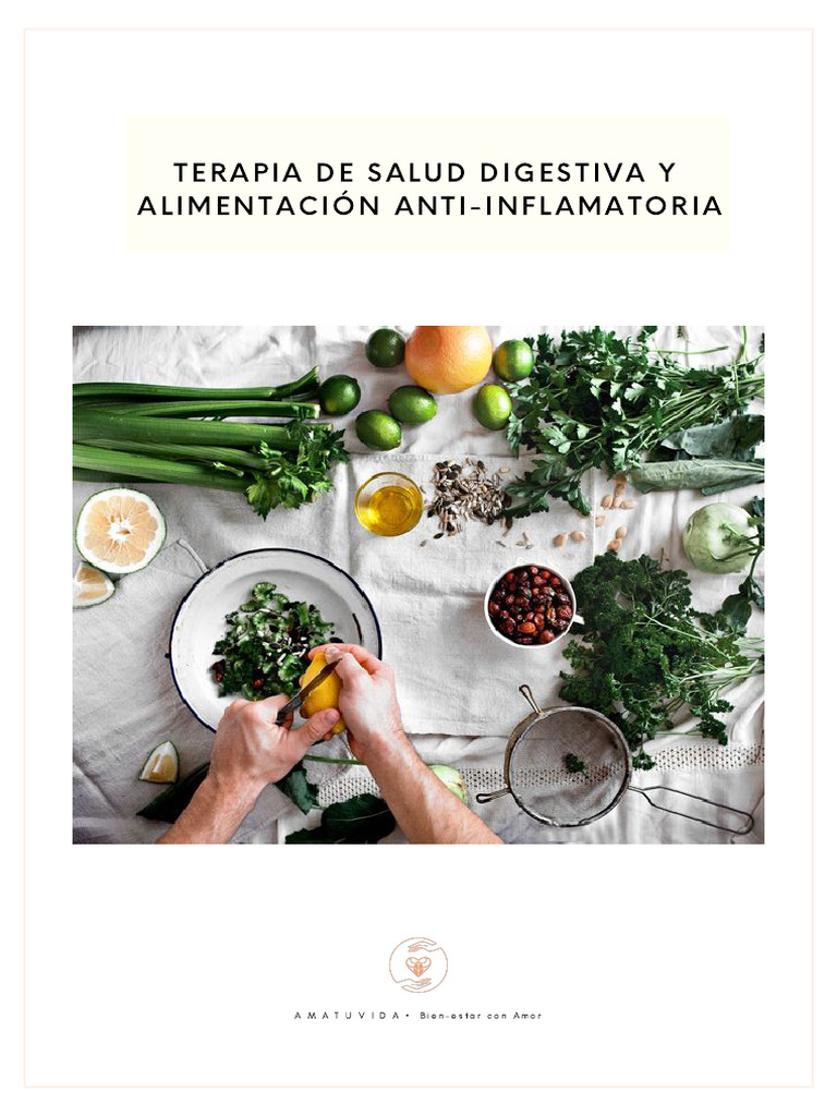 Terapia SDAA | PDF | Alimentos | Ácido Graso Omega 3