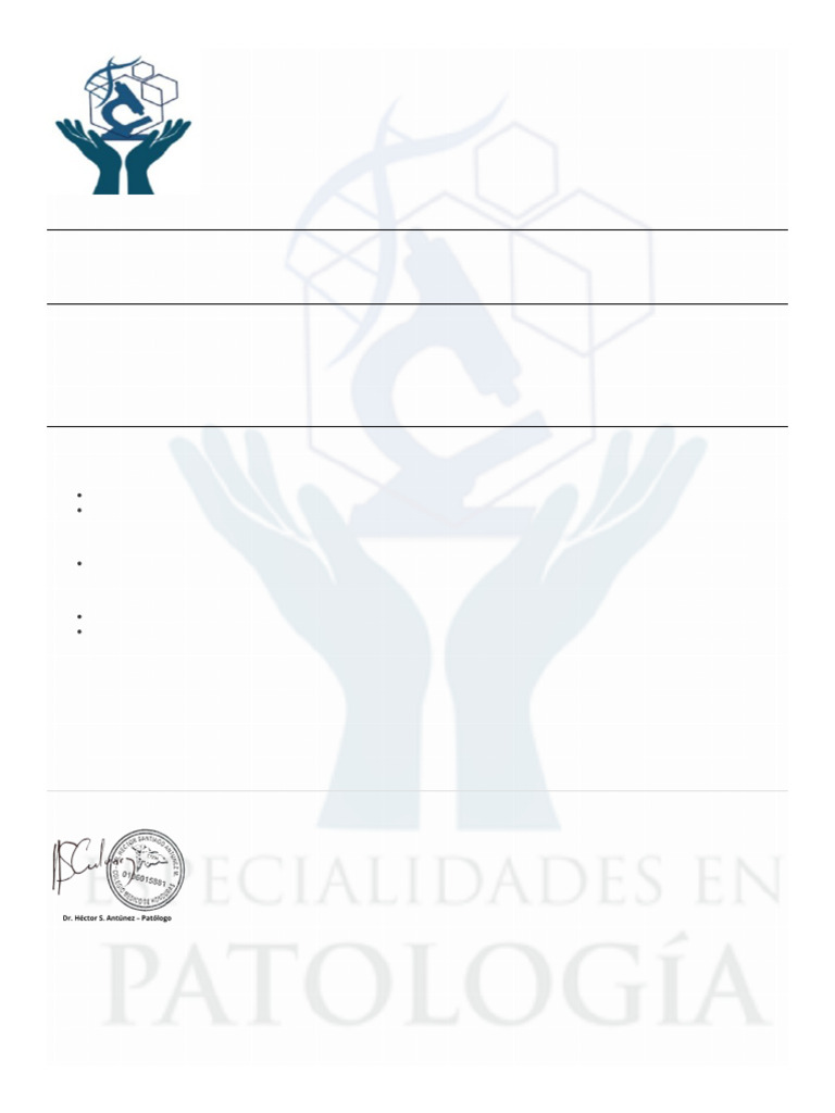 Codexworld - 2025-02-19T152542.587 | PDF