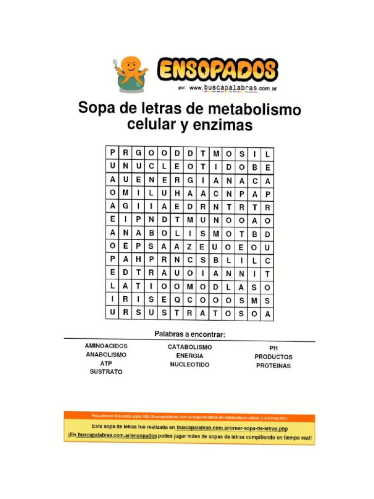 Sopa de Letras de Metabolismo | PDF