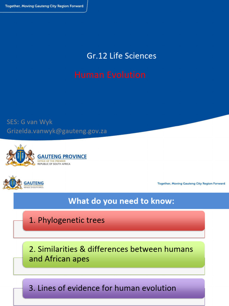 Human Evolution: Key Concepts & Evidence | PDF | Homo | Human Evolution