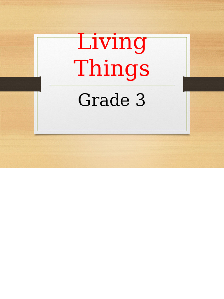 UNIT 5 Grade 3 | PDF