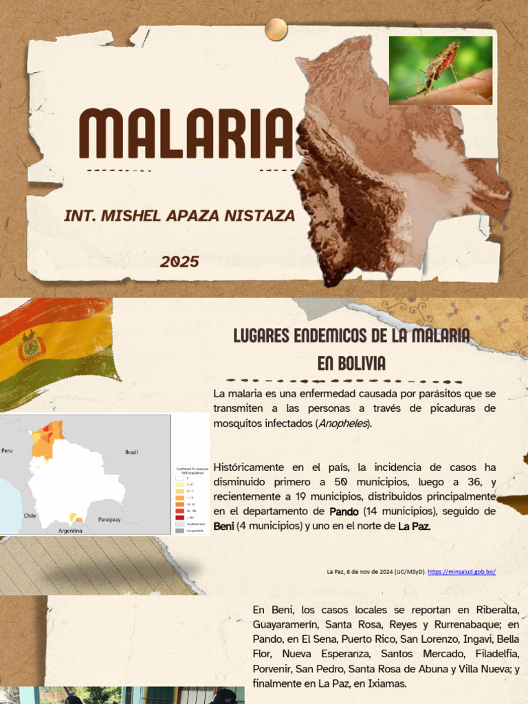 MALARIA | PDF