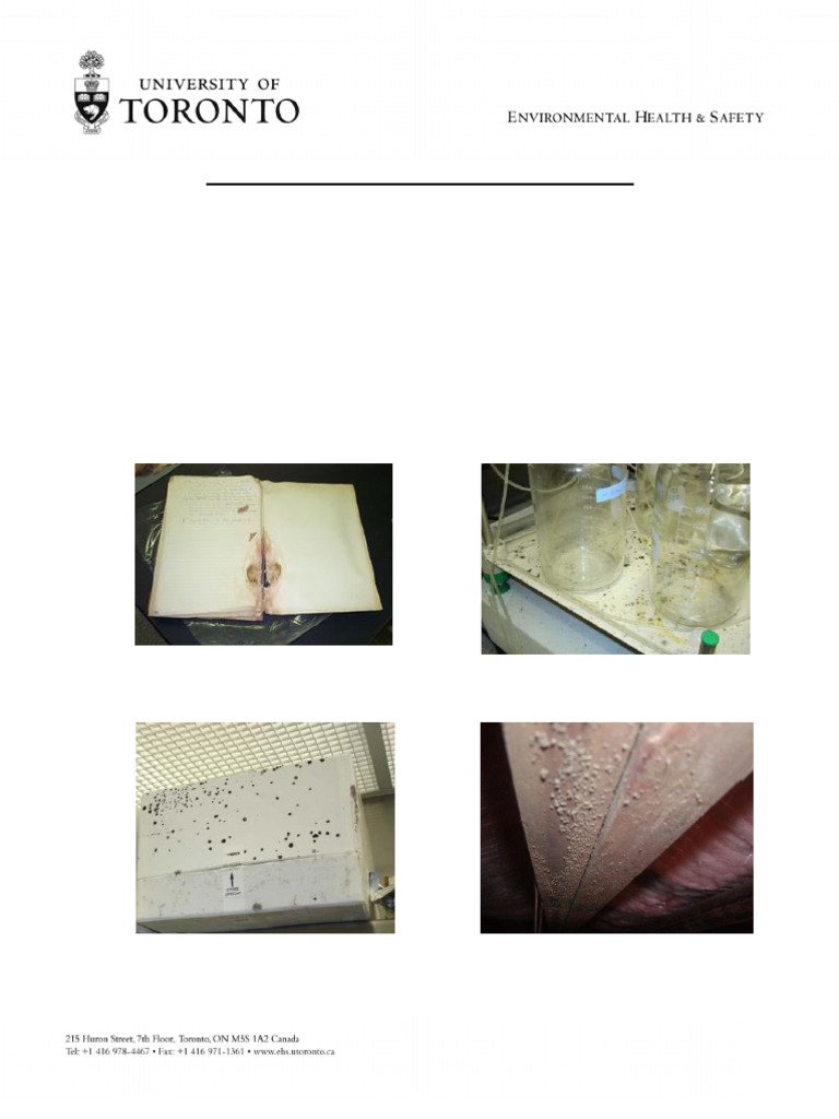 Preventing Mould in Cold Rooms | PDF | Mold
