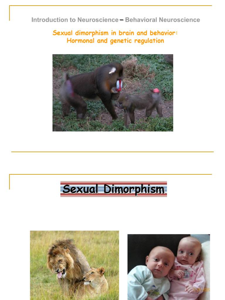 behavneurosci_lecture3_kimchi_sexual_dimorphism_14april2022 (1) | PDF ...