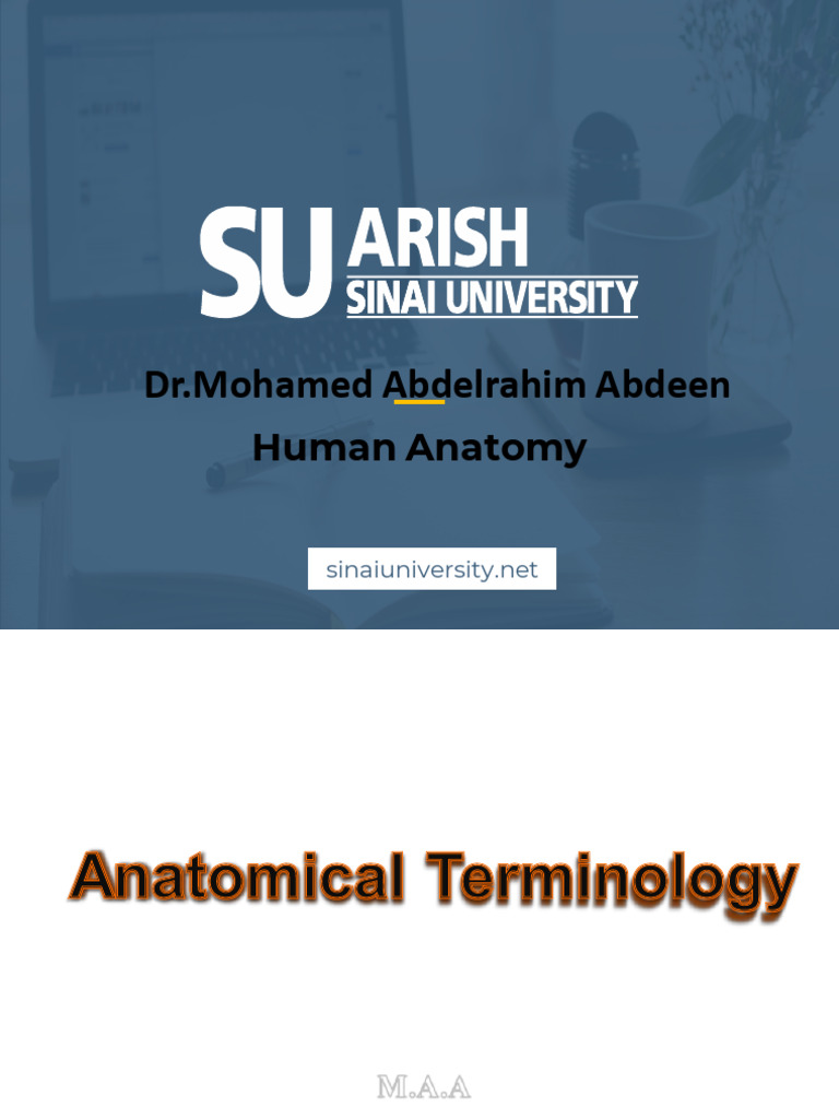 Anatomical Terminology | PDF | Anatomical Terms Of Motion | Anatomical ...