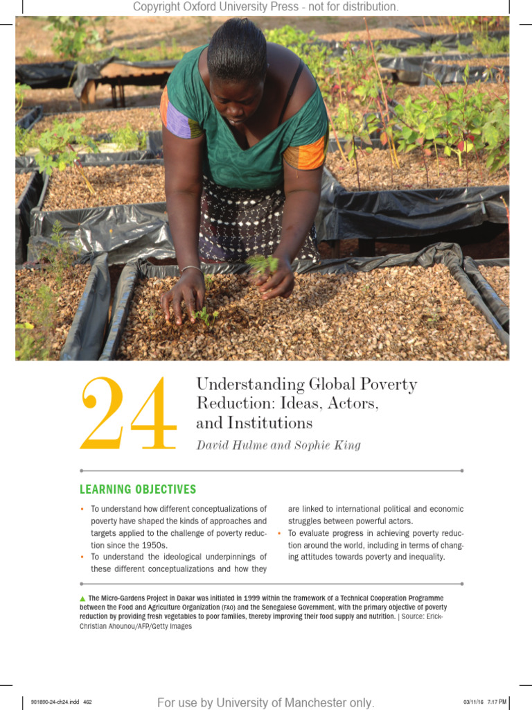 Understanding Global Poverty Reduction | PDF | Millennium Development ...