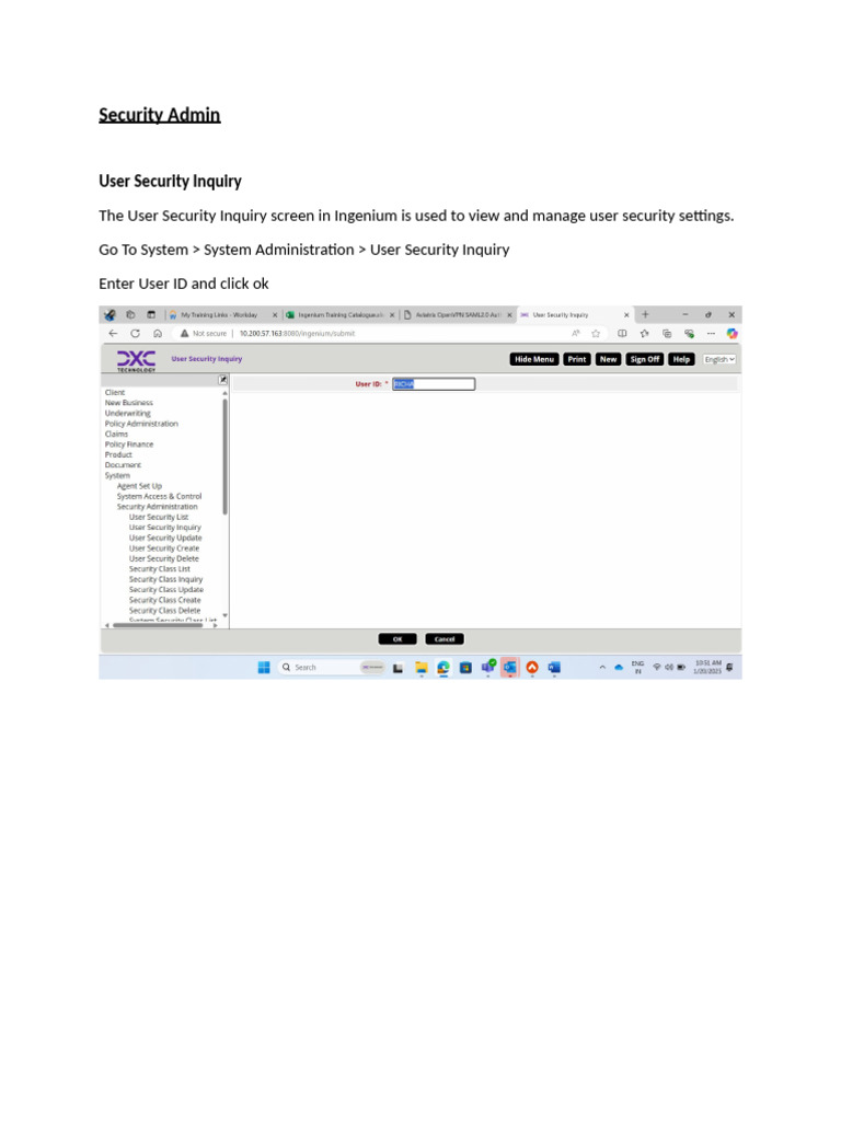 Security Admin | PDF