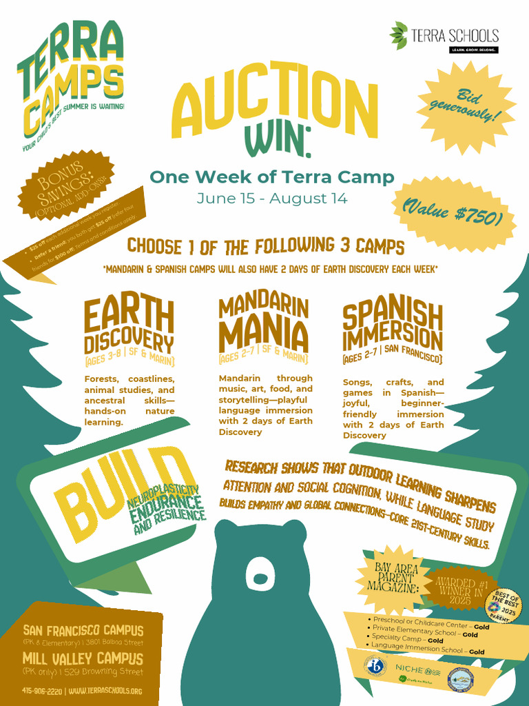 Summer Camp Auction Flyer - 3 PROPOSALS | PDF | Human Life Stages | Education Theory