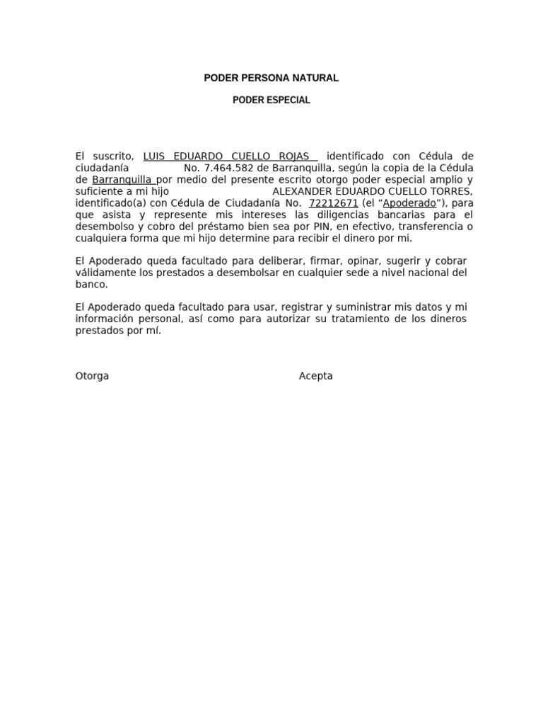 8 Modelo Poder Persona Natural | PDF
