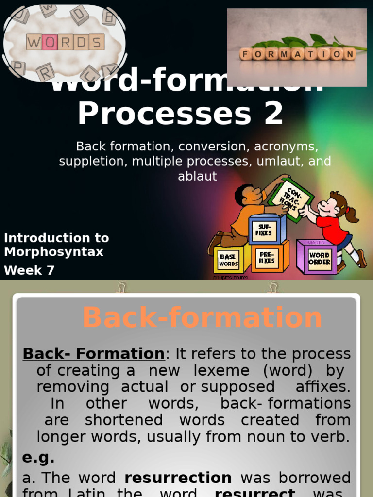Week 7 - Word Formation Processes 2 | PDF | Word | Morphology (Linguistics)