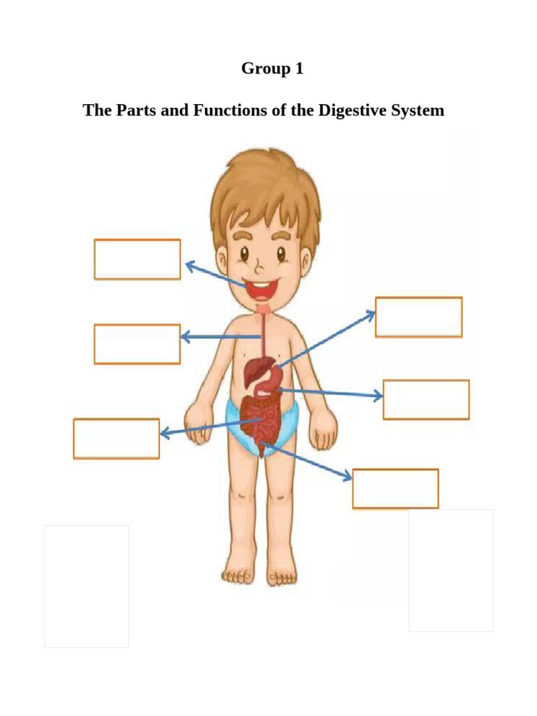 Tarpapel Activity S | PDF
