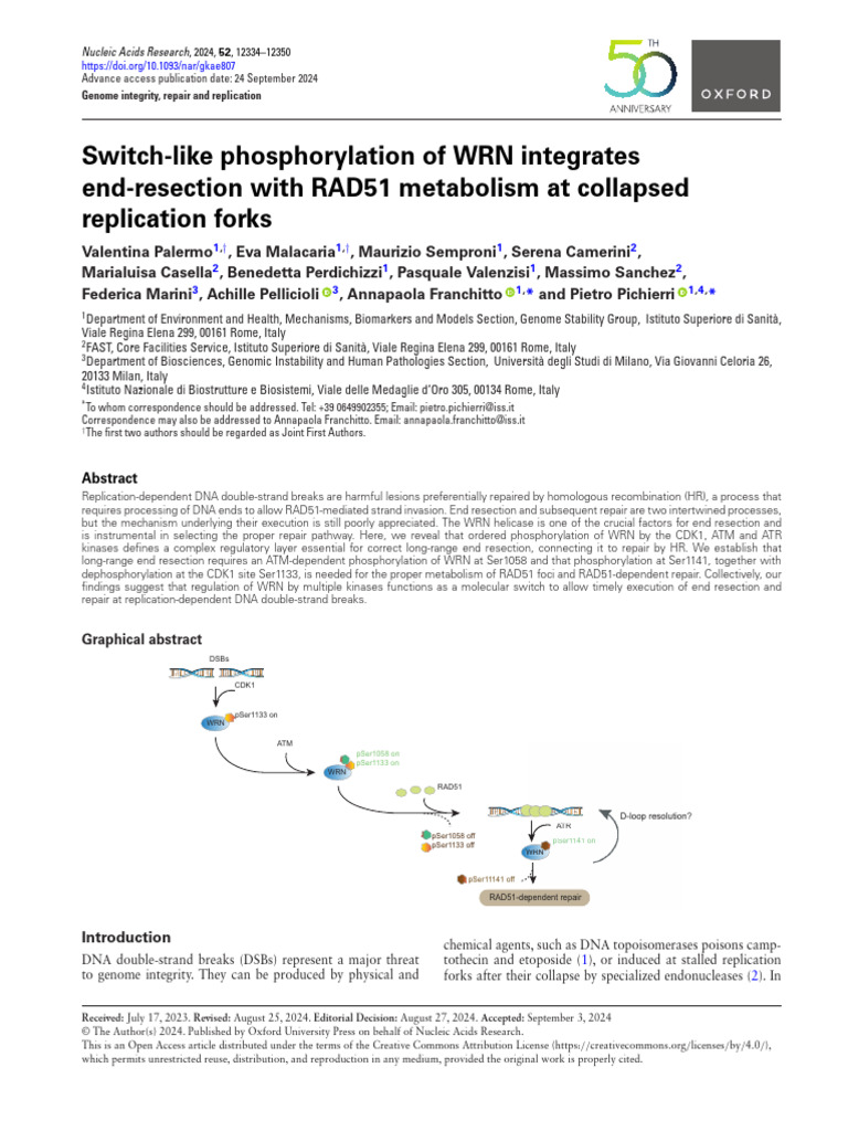 Switch-Like Phosphorylation of WRN Integrates End-Resection With RAD51 ...