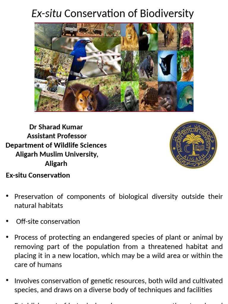 Lecture 7 Ex-Situ Conservation.......... | PDF | Zoo | Conservation Biology