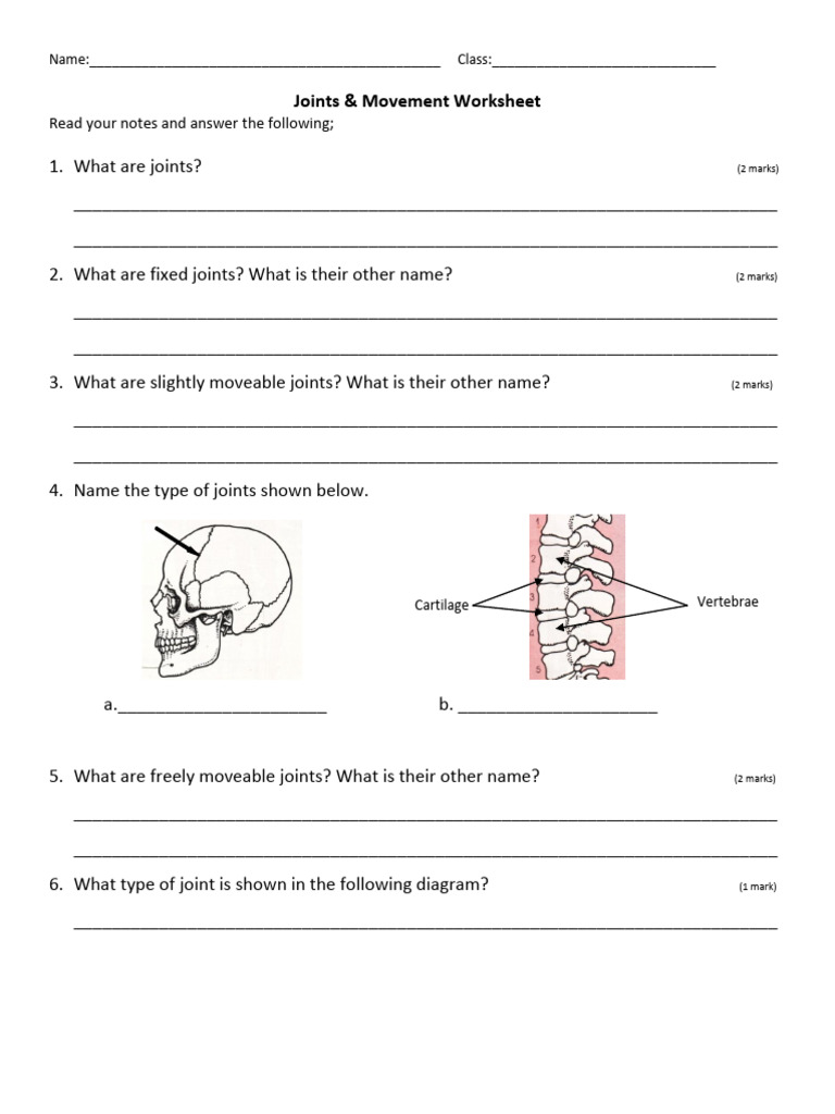 Joints Movement Worksheet | PDF | Anatomical Terms Of Motion | Joints