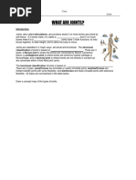 BonesoftheFootWorksheet-1 | PDF