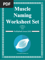 BonesoftheFootWorksheet-1 | PDF