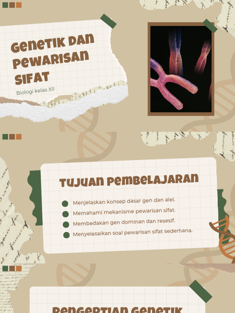 Mengenal Genetik Dan Pewarisan Sifat Presentasi Dalam Krem Ilustrasi | PDF