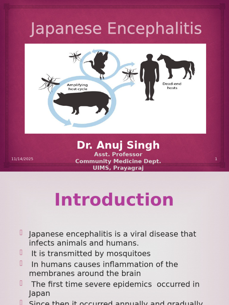 Understanding Japanese Encephalitis Risks | PDF | Vaccines | Vaccination