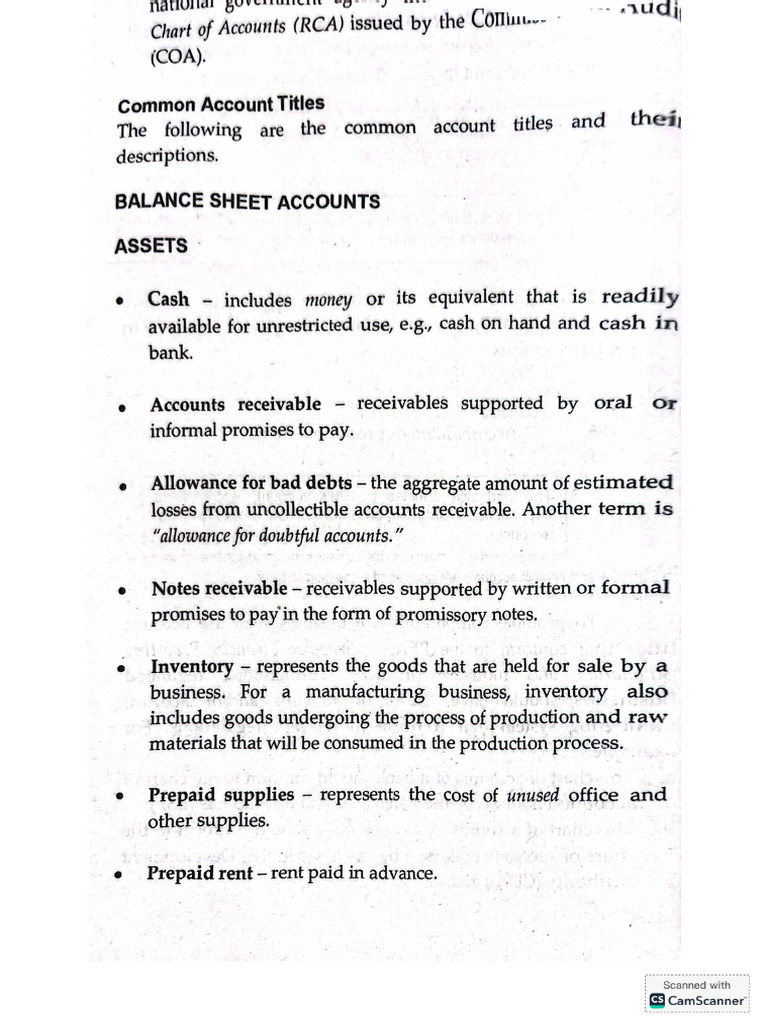 Common Account Titles | PDF