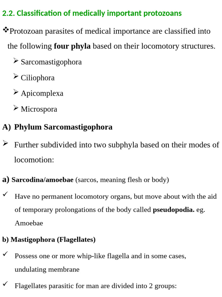 Classification of Medical Important Protozoa | PDF