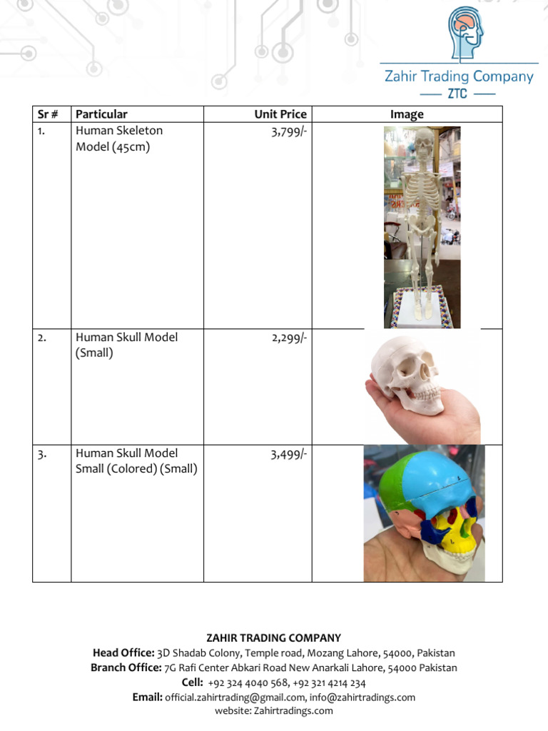Models Price List... | PDF | Anatomy