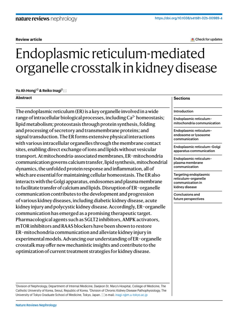 Endoplasmic Reticulum-Mediated Organelle Crosstalk in Kidney Disease ...
