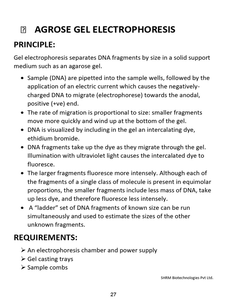 Agrose Gel Electrophoresis - Pagenumber | PDF | Agarose Gel ...