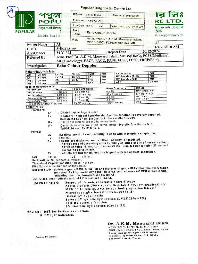 Abbas Severe As Echo | PDF