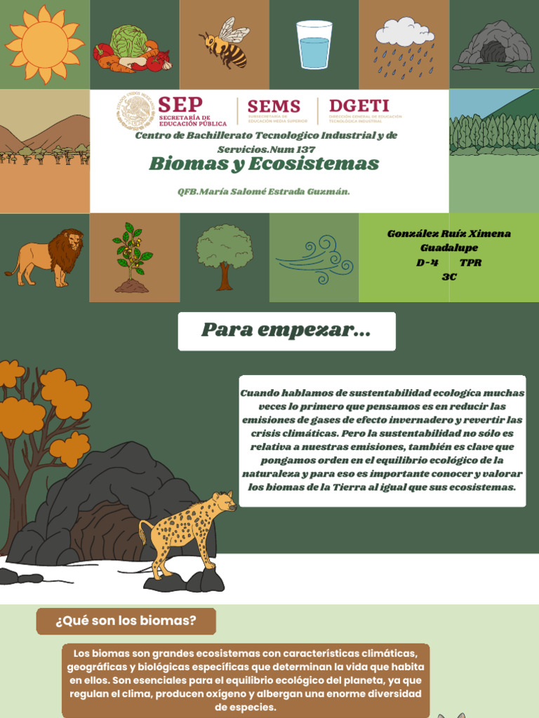 Biomas y Ecosistemas. | PDF | Ecosistema | Selva