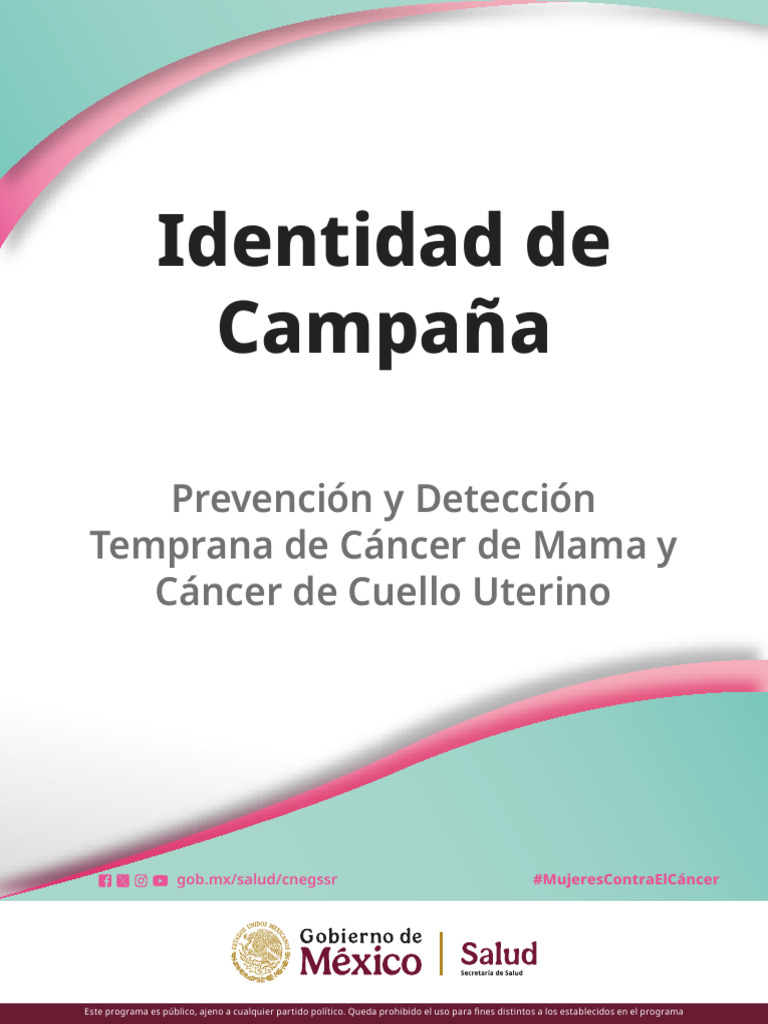 MANUAL IDENTIDAD GRÁFICA-CANCER de Mama | PDF | Infografia