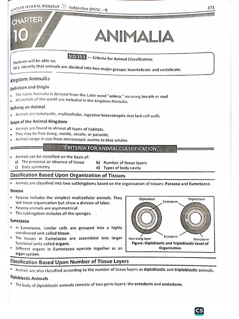 Bio Chapter 10 | PDF