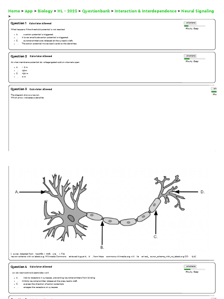 Revision Town 2024 Neural Signalling | PDF | Action Potential ...