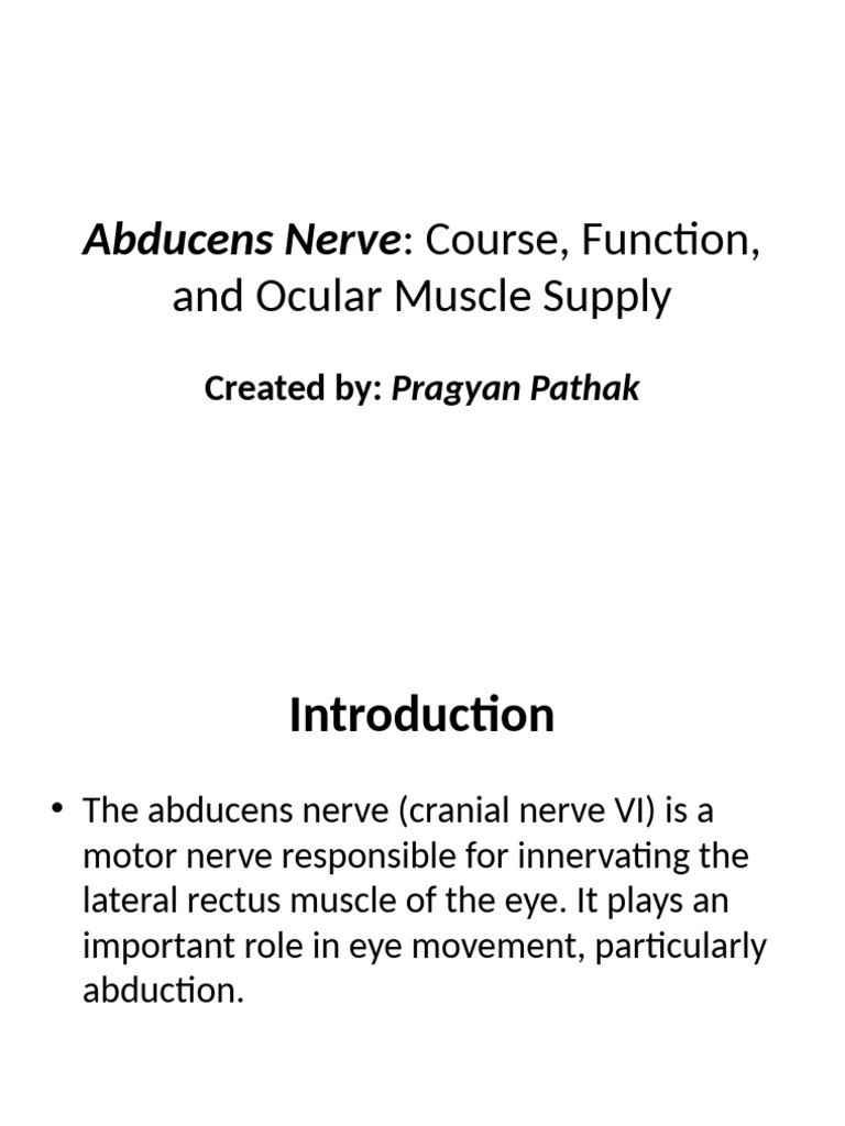 Abducens Nerve: Function and Palsy Insights | PDF