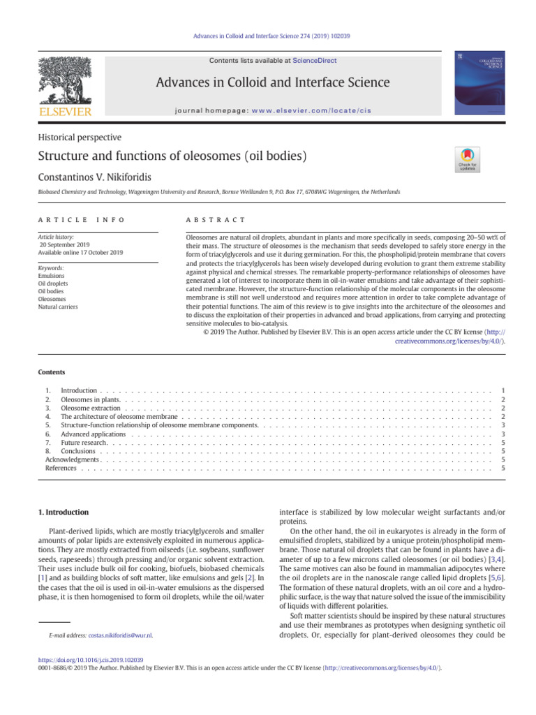 Structure and functions of oleosomes (oil bodies) | PDF | Phospholipid ...